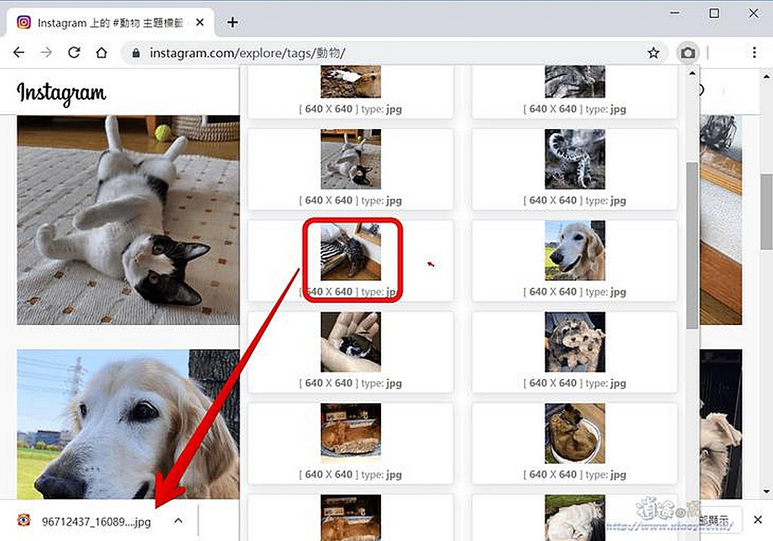 image-picker 幫助找出網頁上所有圖片讓你下載，支援任何網站(擴充功能)