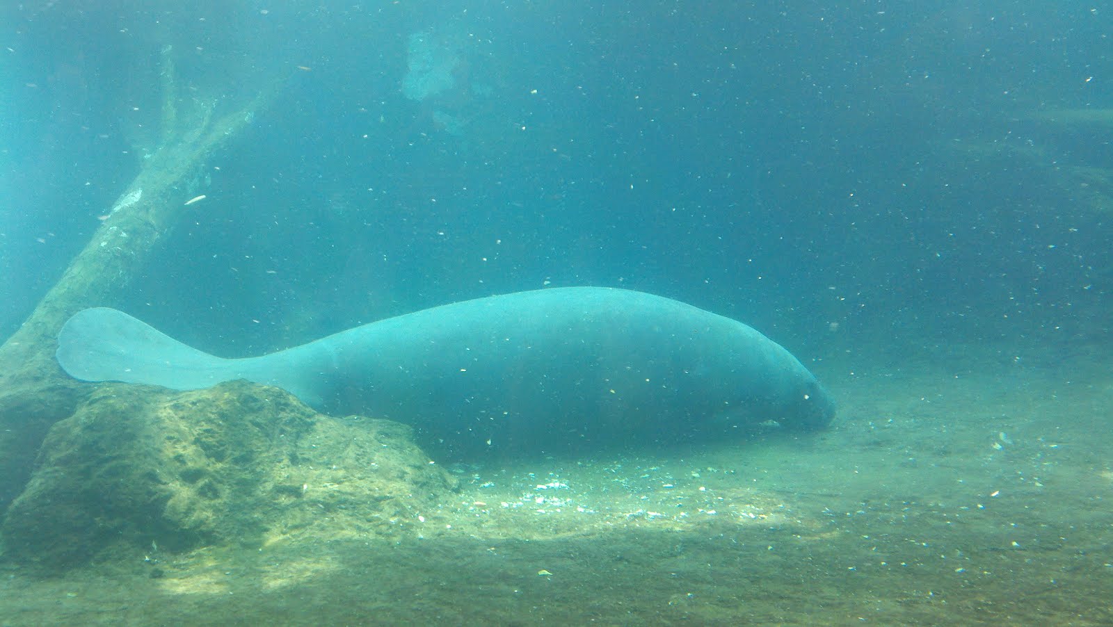 The Shekel - Coins, Law, and Commentary: Florida Trip - Oh, The Hugh ...