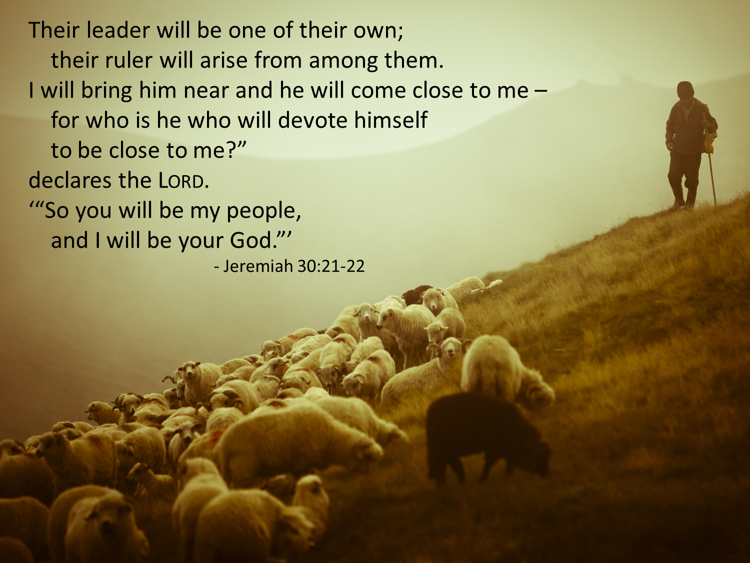 HOW IN THE WORLD Chosen To Be Sent He Looked To His Disiples And