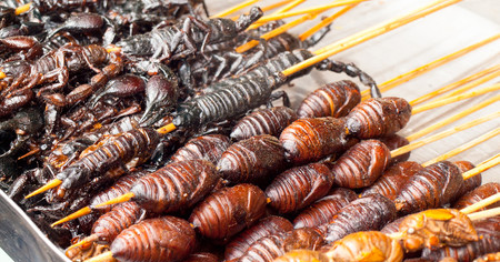 Keka'sS Blog: Al rico bicho!