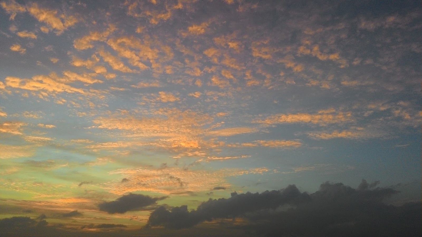 ஓடி விளையாடு பாப்பா...