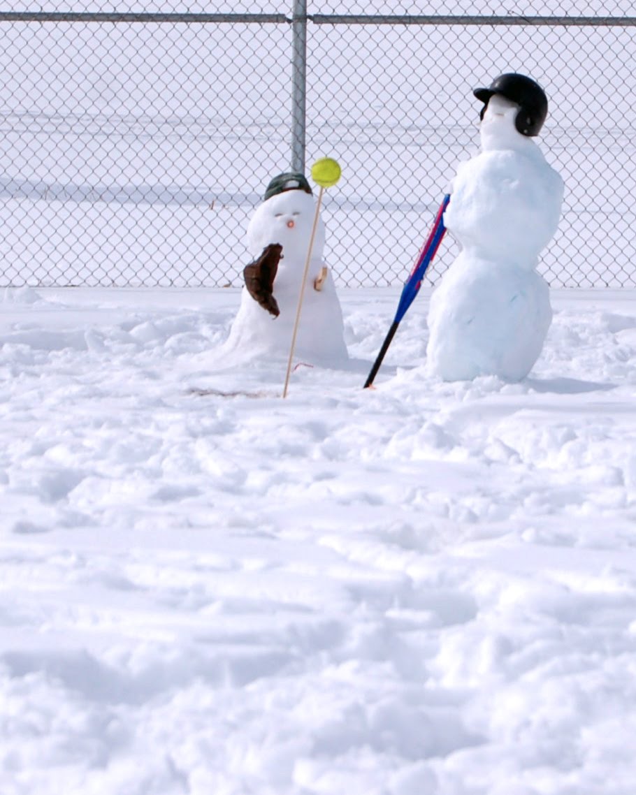 my year of being present: Snowball Softball
