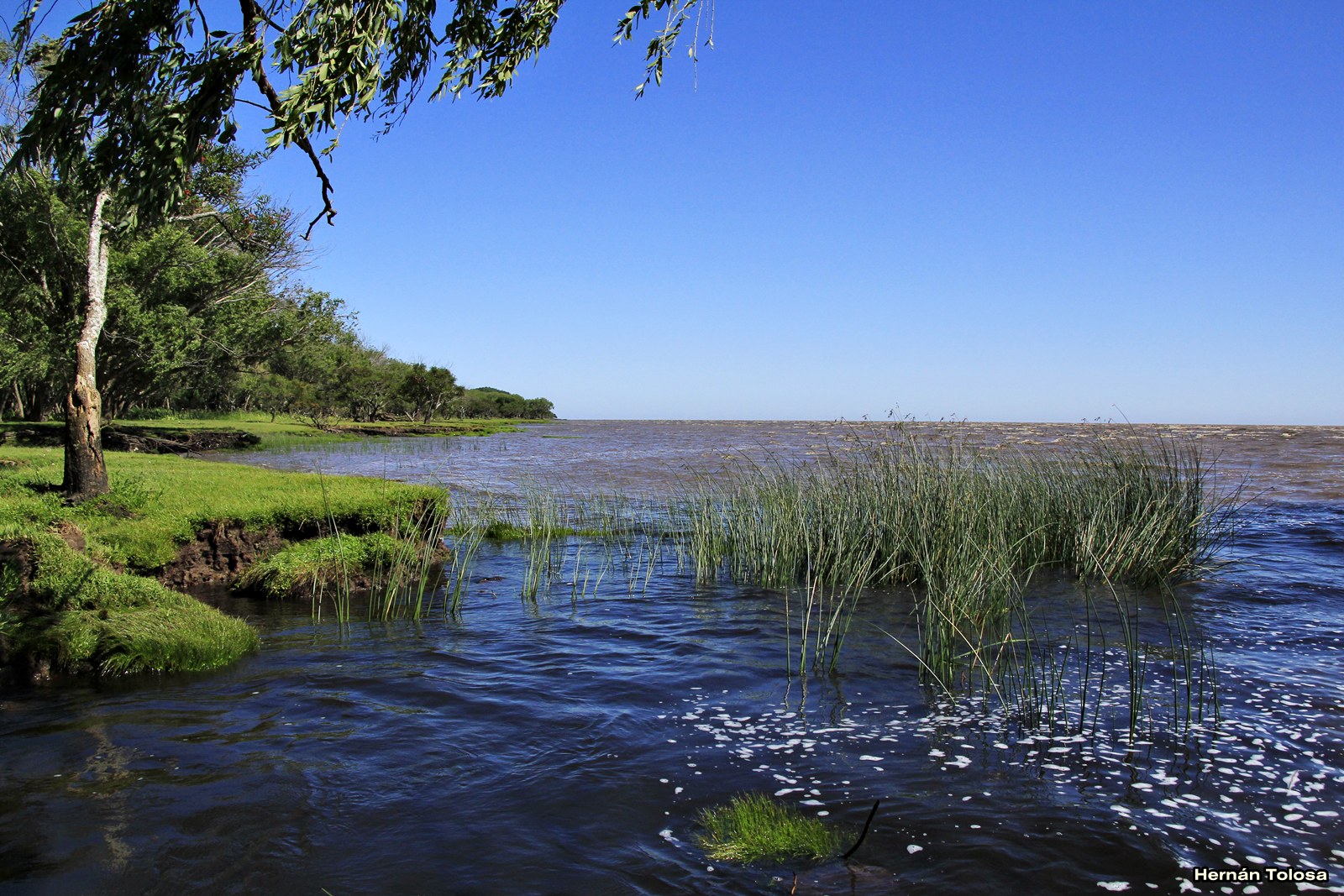 Flora Bonaerense: Parque Costero del Sur