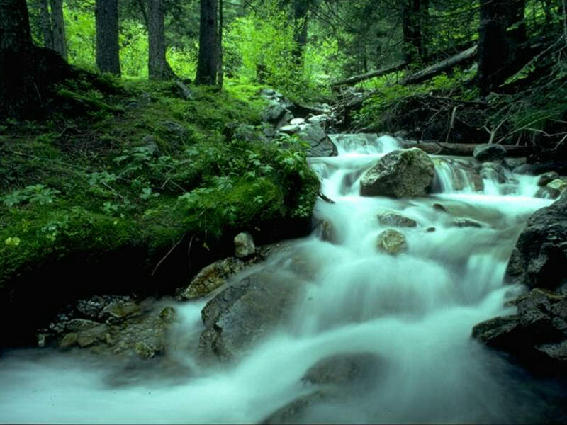 Teknik Slow Action ~ Klik! Cileungsi