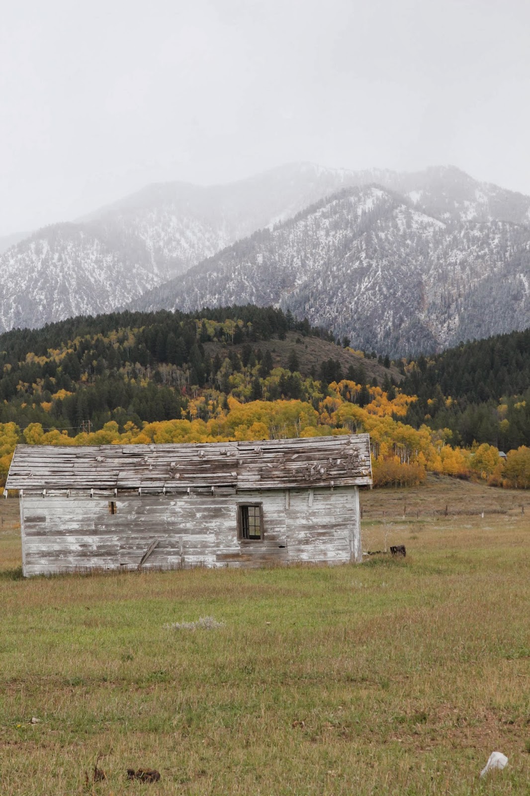 A Little Cuppa Tea: Fall: Sundance, Utah & Wyoming