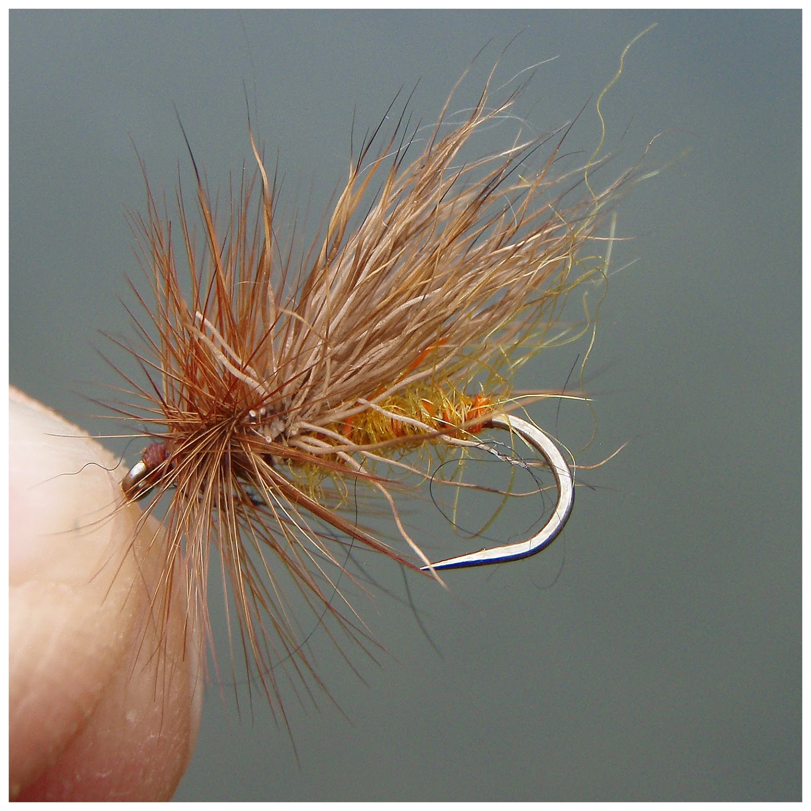 Dry Fly 'Expert': Nondescript Sedge...
