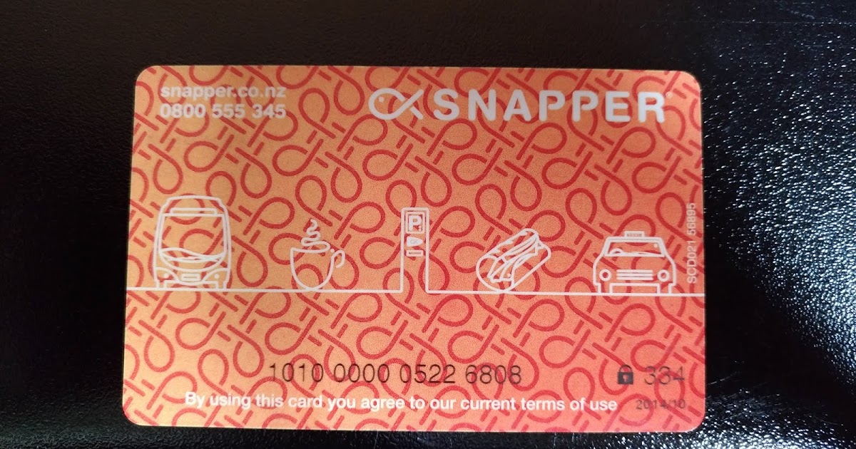 ニュージーランド留学 Study abroad in New Zealand: ニュージーランド必需品 ー SNAPPER