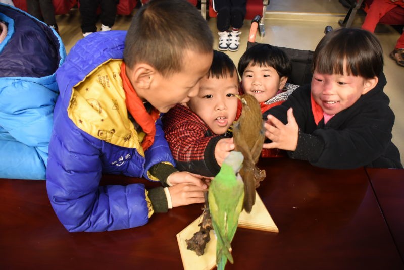 Adopting Ying Rong: 2017