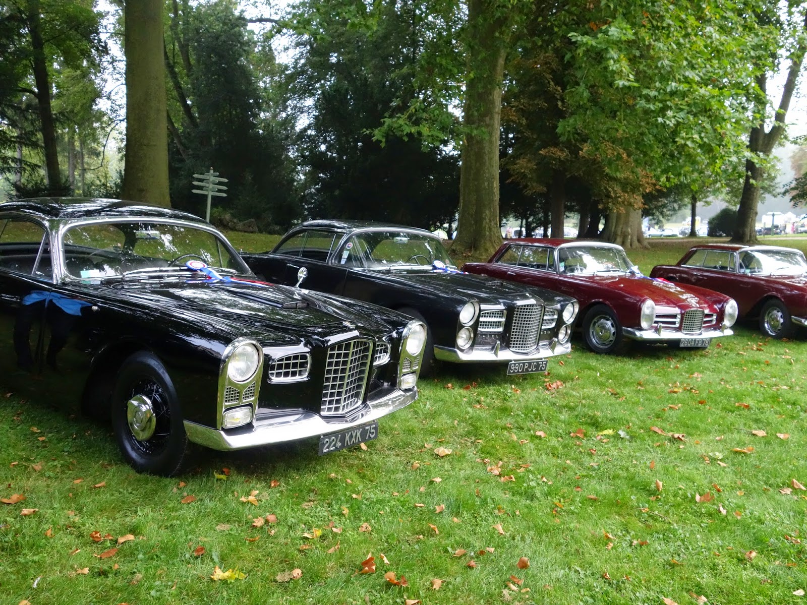 The William Brown Project