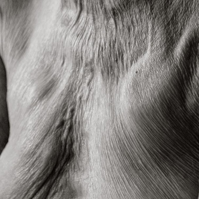 Tía Witty: What the human body looks like at 100 years old