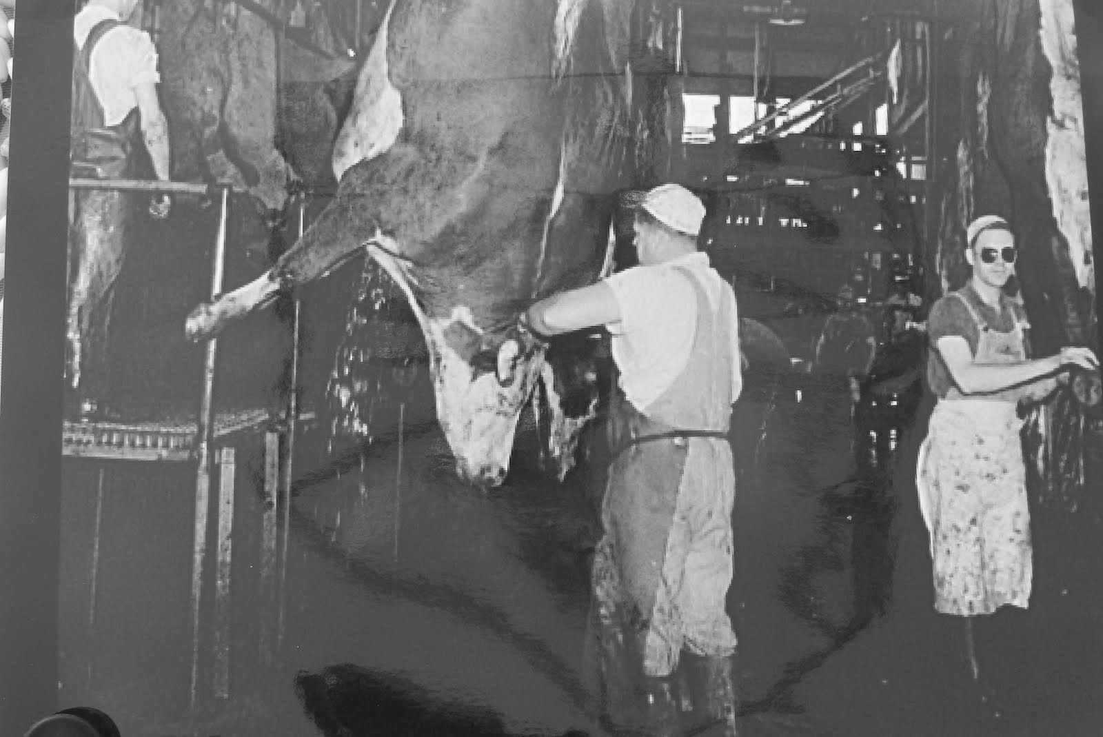 Pushing On: We Were the Poor People: The Hormel Strike of 1933