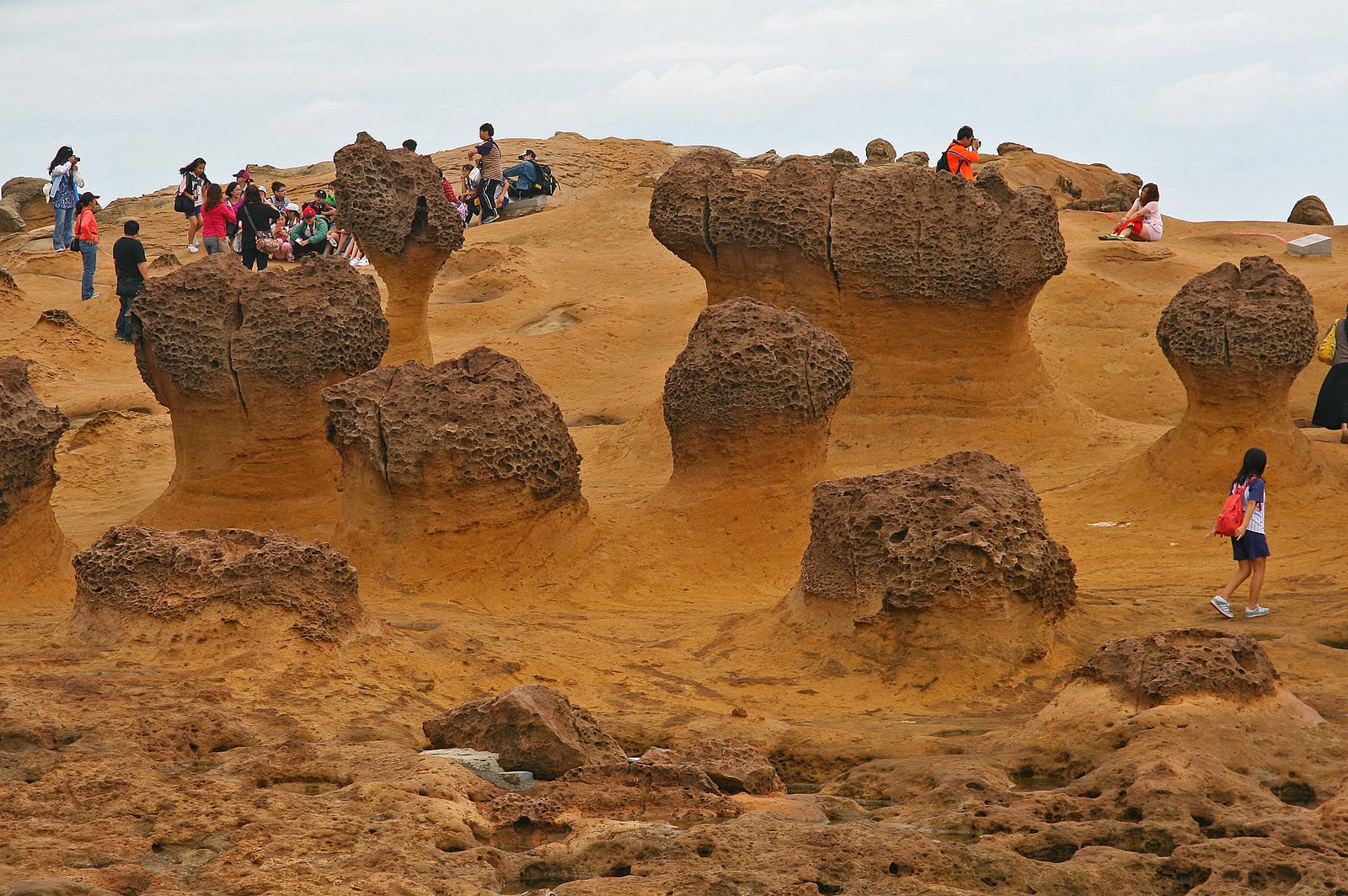 Journal of Life: YehLiu Geopark