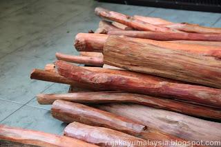 Raja Kayu Malaysia: Raja Kayu