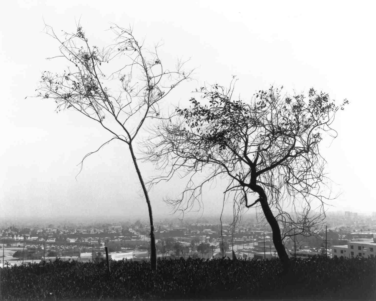 la lettura: Robert Adams e la bellezza in fotografia