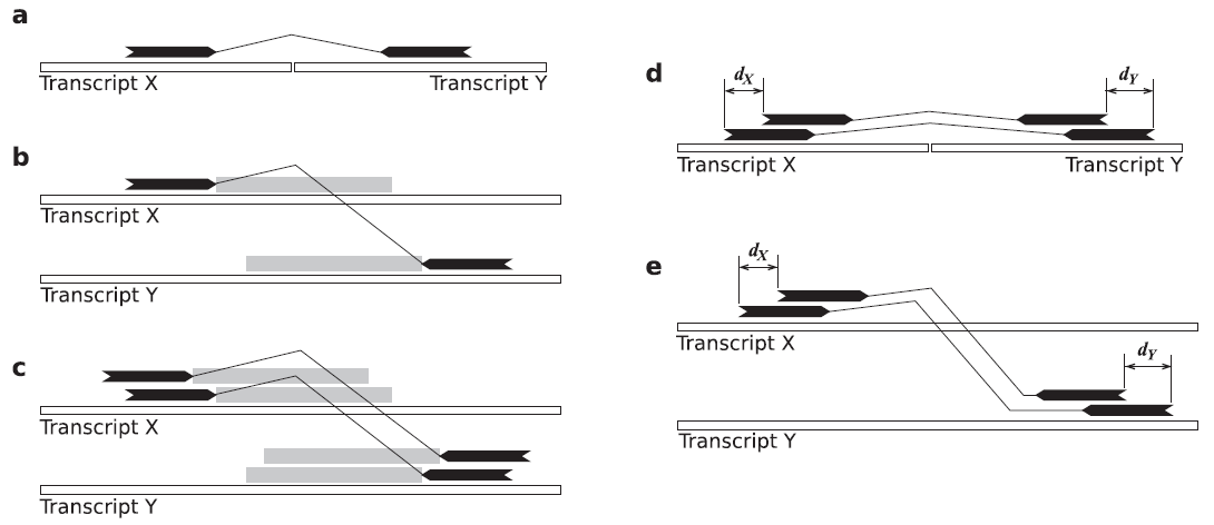 ideas should be in papers: deFuse: An Algorithm for Gene Fusion ...