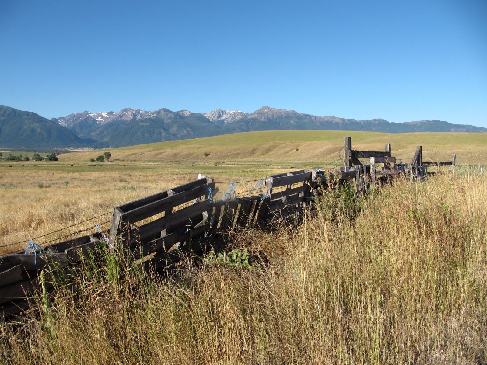 DESTINATIONS NORTHWEST: Zumwalt Prairie: High, Wide, and Lonesome