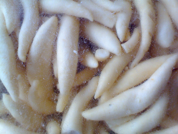 Kericu (Makanan Ringan Khas Bangka Selain Kemplang dan Keritek) ~ PLAT ...