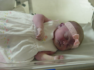 Ensenada de Barragán: La ONU hace caso omiso de 3 millones de ...