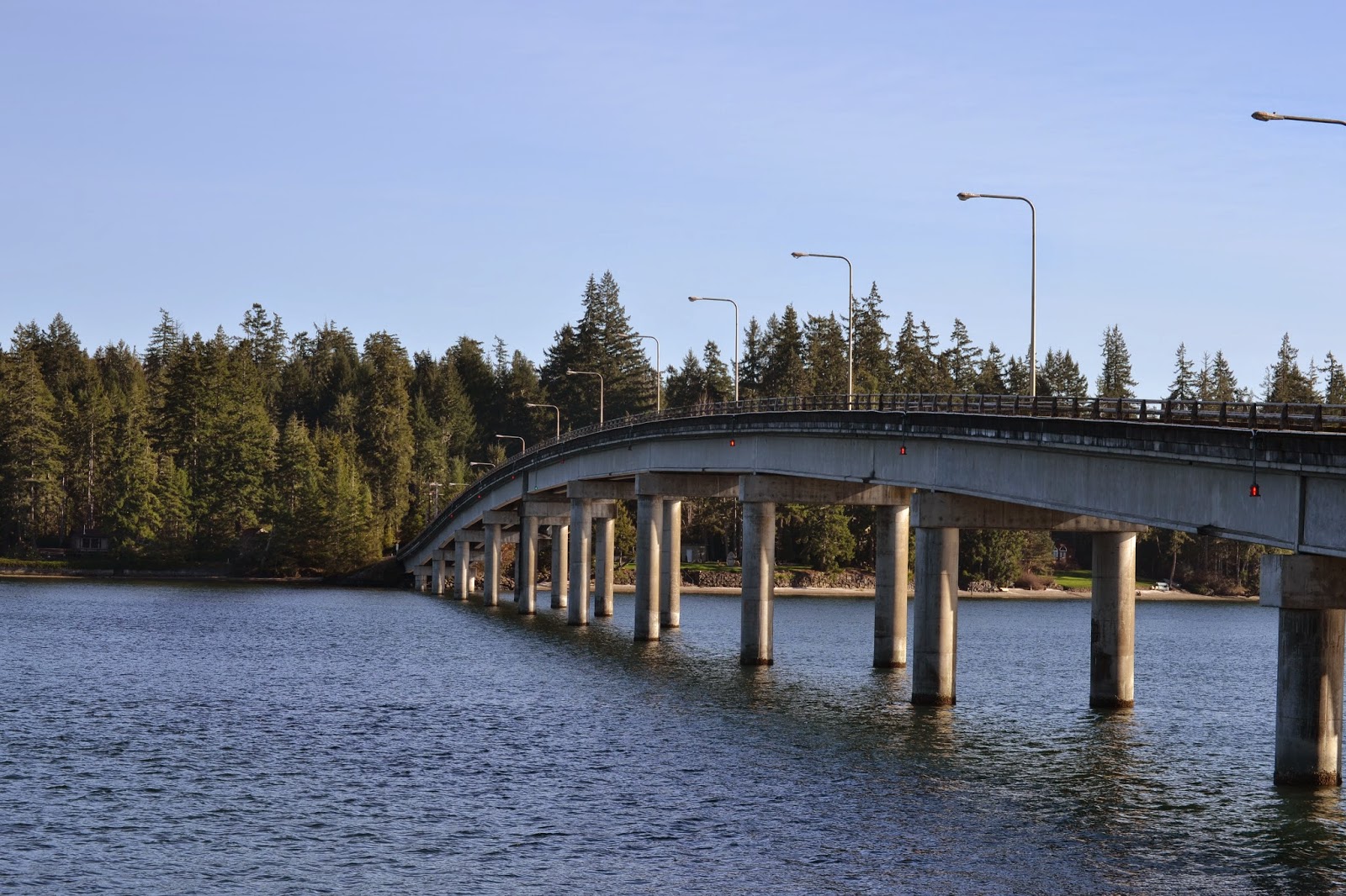 Mason County Birding: February 2015