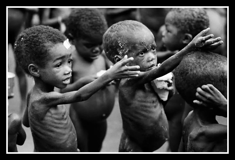 The Fight to End Poverty and Hunger: Brochure