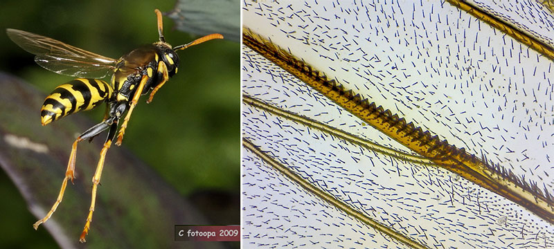 the curiosity payoff