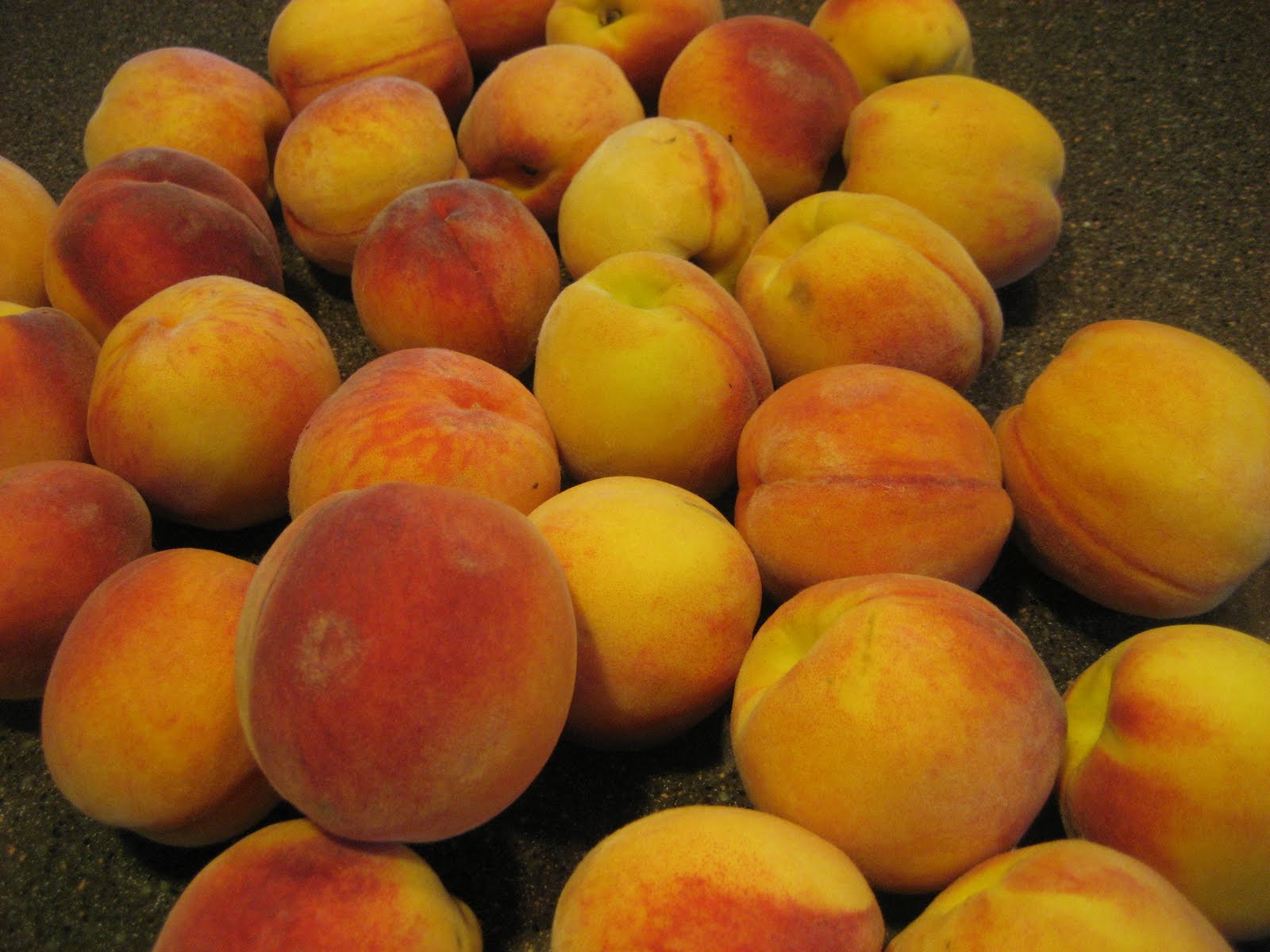 Teacher, Baker, Gourmet Meal Maker: 2011