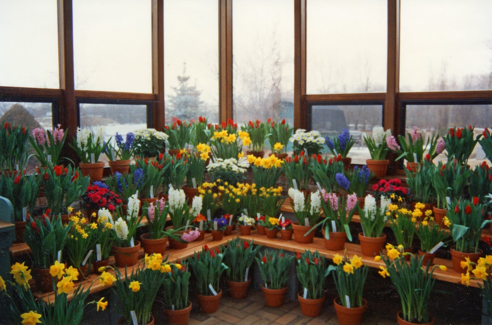 Rotary Botanical Gardens - Hort Blog: Historic Friday - The Rath Center