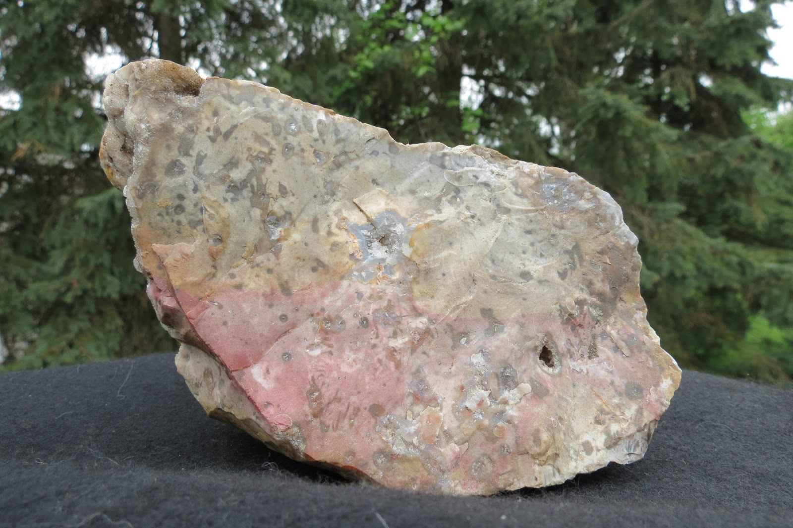 Archaeology of Portable Rock Art: Psychological "PAH triad" described ...