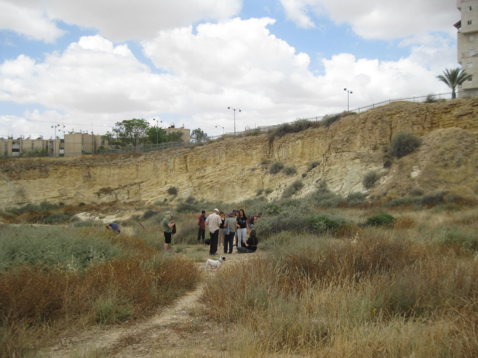 Jerusalem Hills daily photo: The ancient, wild, huge quarry in Beer Sheva