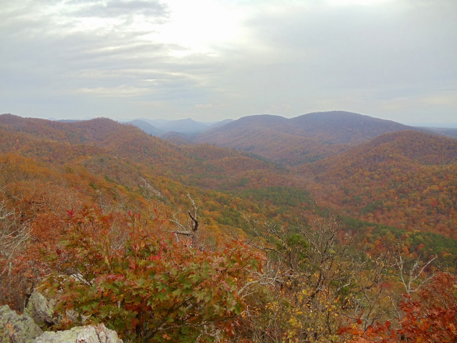 Simply Jacobson: Caney Creek Wilderness