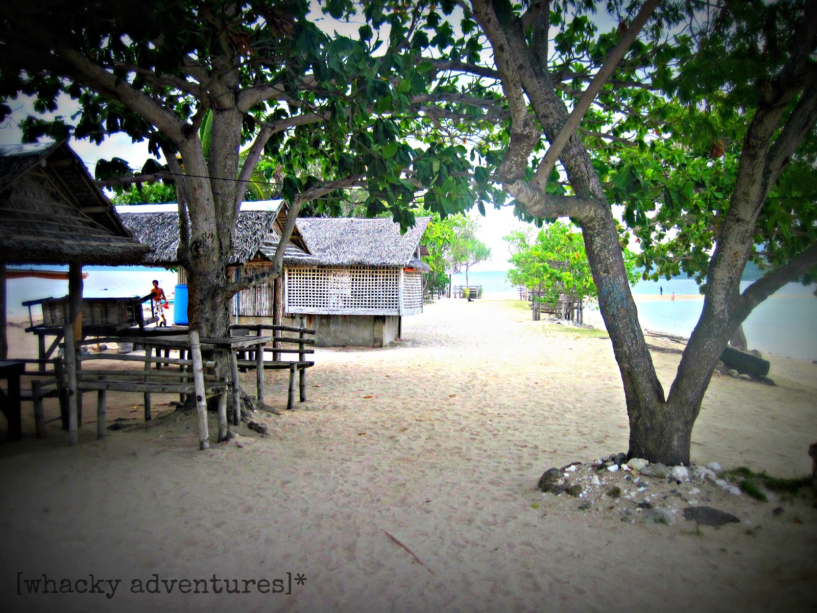 Whacky Adventures*: Sandbar Island Beach Resort, Concepcion, Iloilo ...