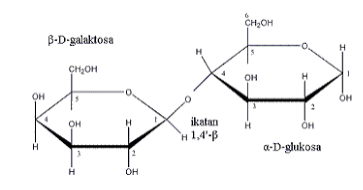 Annyeonghaseo Chemistry: Beberapa Monosakarida dan Penetuan Stereokimia