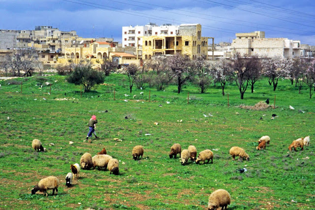 Geographically Yours: Maarat Al Numan, Syria