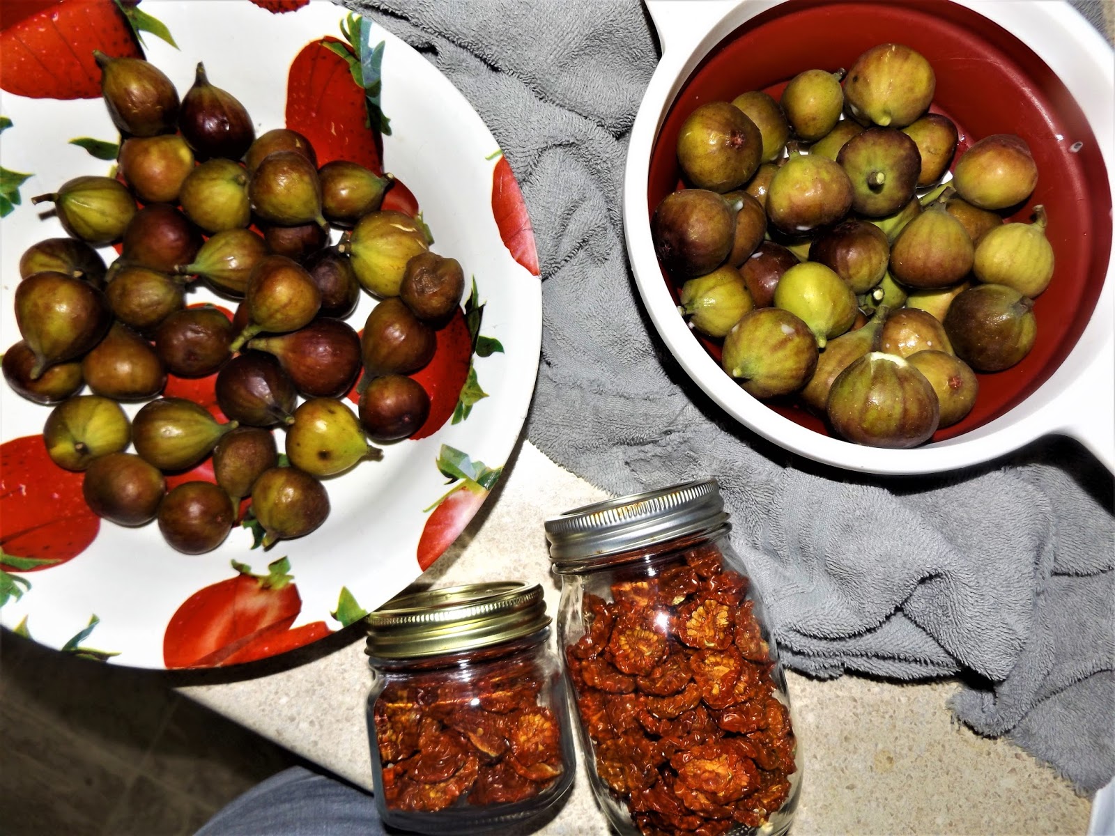 Vegans Living Off the Land: More Fig Jam & Dehydrated tomatoes made ...