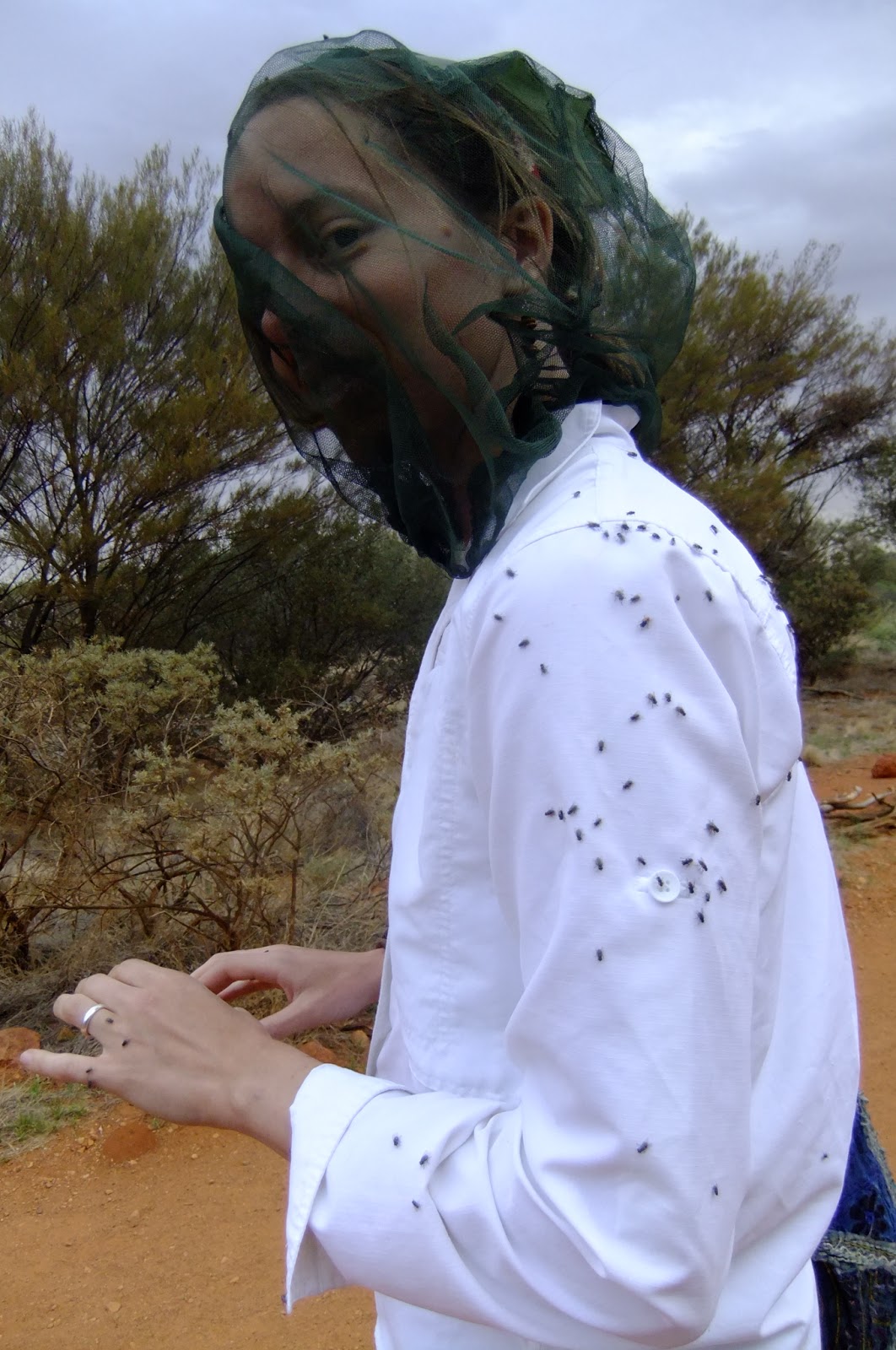 Hip Frog Hop: Day 45 to 50 - Uluru (Ayers Rock) - 1 million flies ...