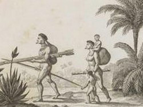 TV Canal 7 - Imagens em Vídeos, Fotos e Fatos: Índios botocudos podem ...