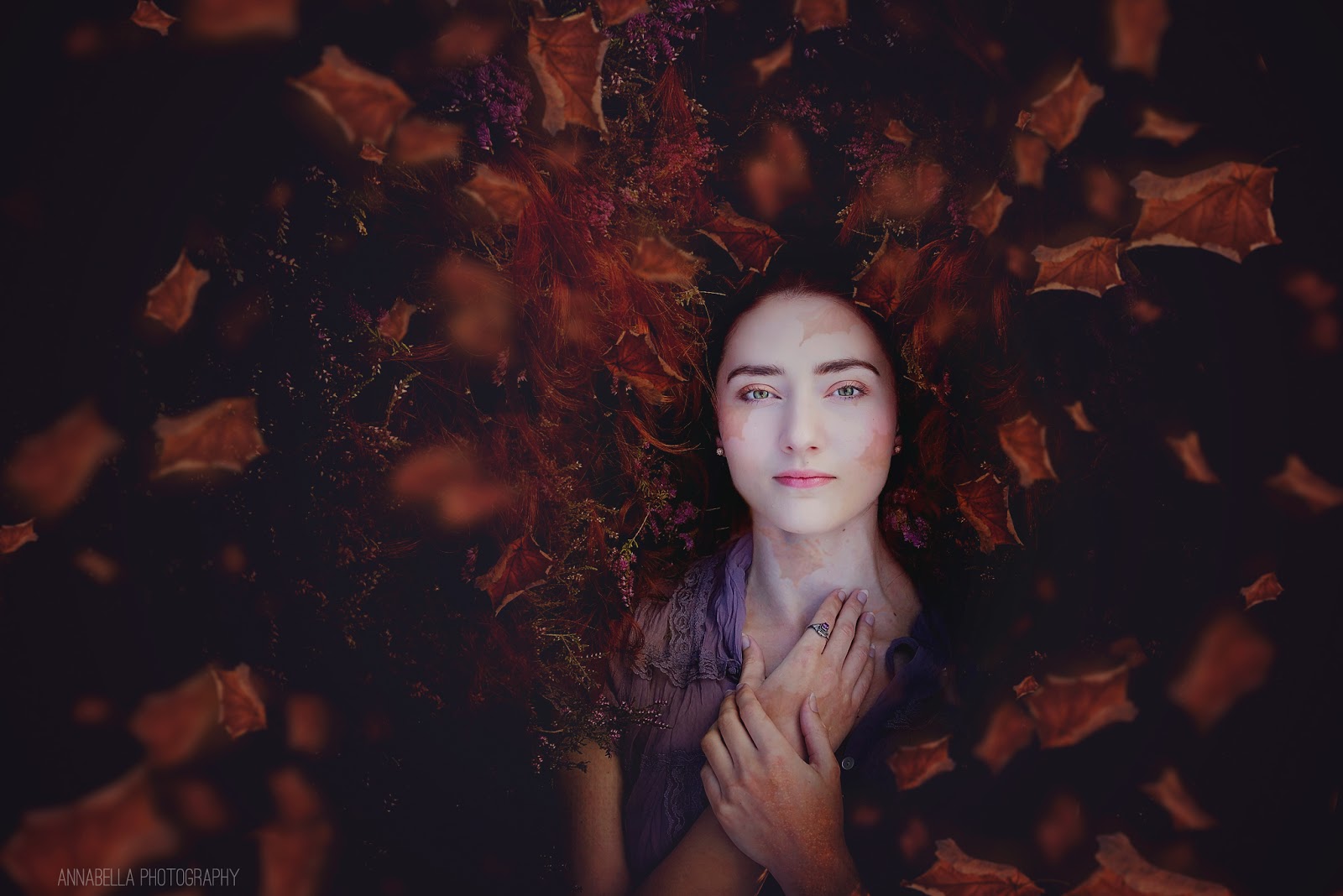 Complete Guide to Photo Overlays - Kimla Designs Photography