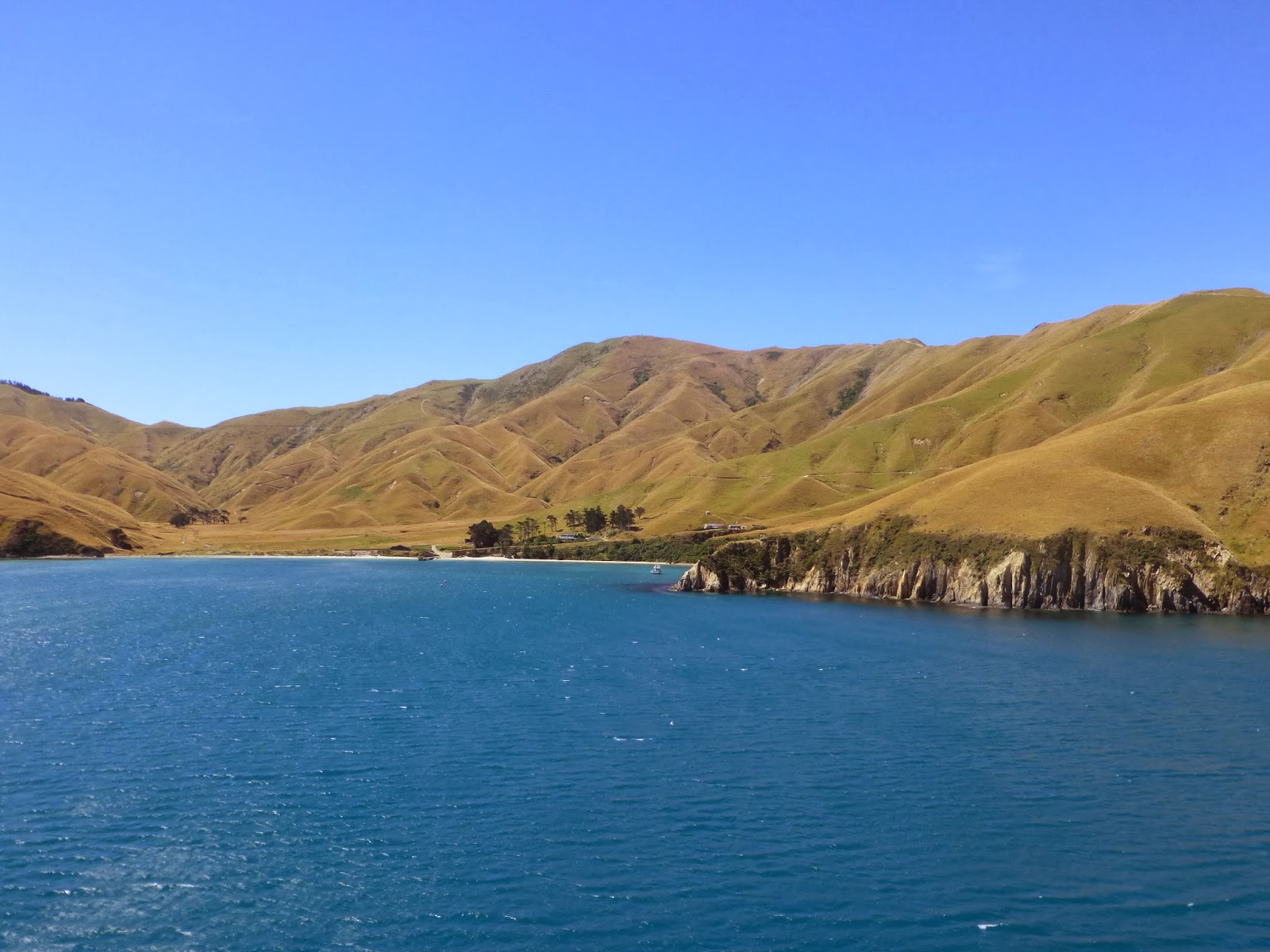 New Zealand: Between the Islands =) Cook Strait!