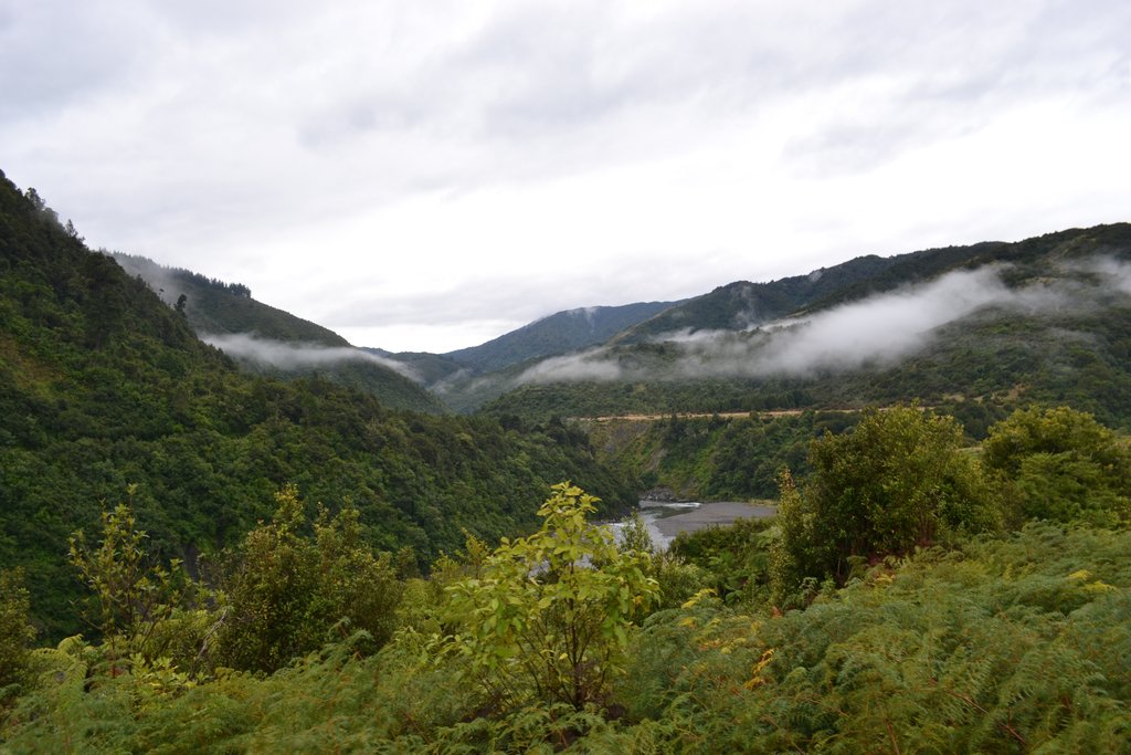 Anders in New Zealand: Tramping trip to Otaki Forks!