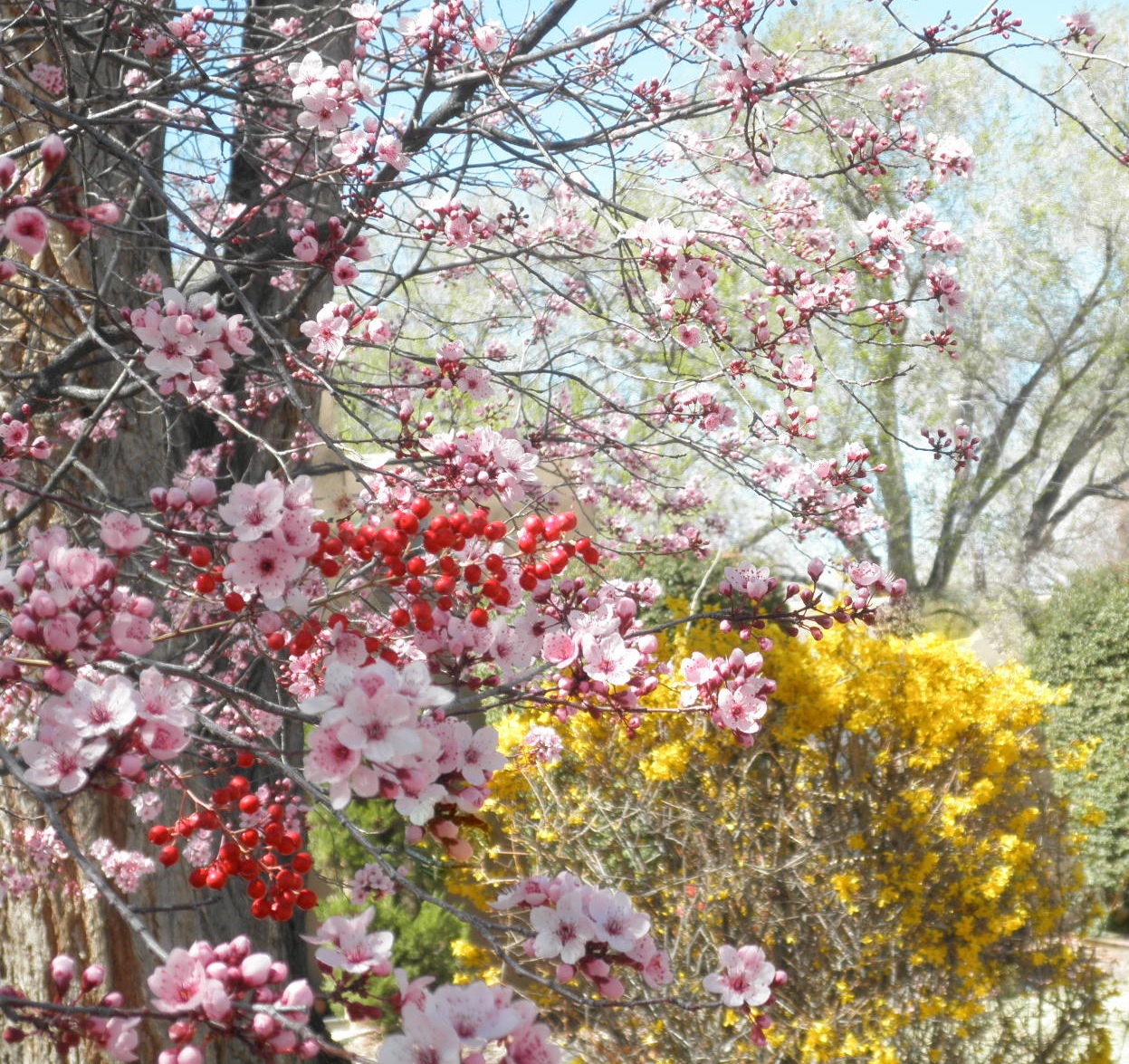 Mysteries of the Holy Rosary
