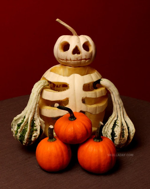 [BONUS] 412. Pumpkin Anatomy III: It's the Great Pumpkin!