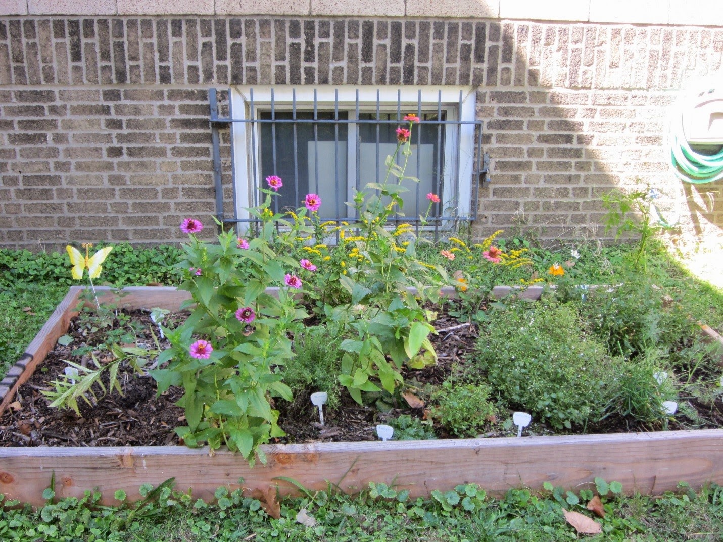 Penn State Extension Philadelphia Master Gardeners : Pollinator ...