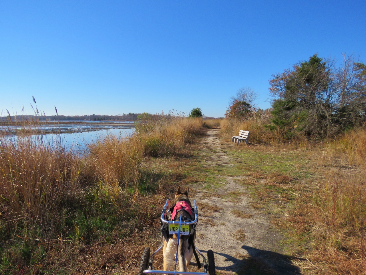 Gone Hikin': Prime Hook National Wildlife Refuge, DE