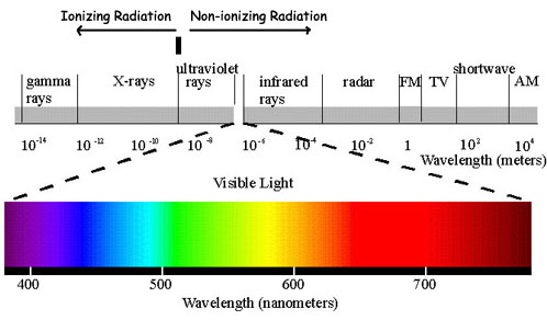 NIRNSA (Niigata Independent Radio Nuclide Survey and Analysis): What is ...