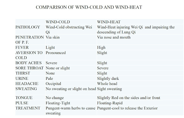 Maciocia Online: THE TREATMENT OF INFLUENZA WITH CHINESE MEDICINE