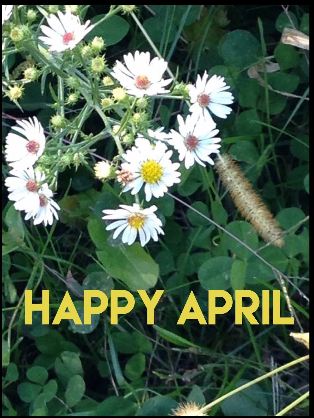 Perfectly Imperfect Brittany : April Goals