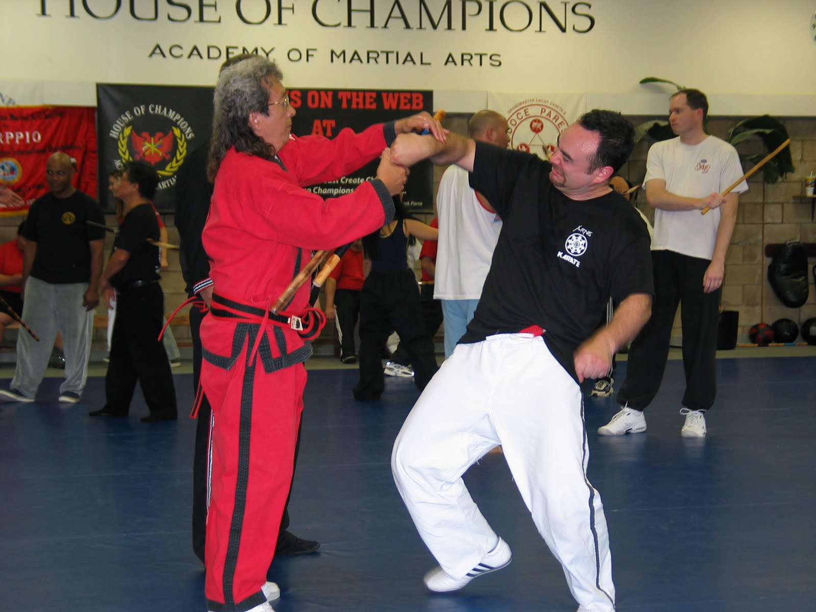 Arnis Karate: History