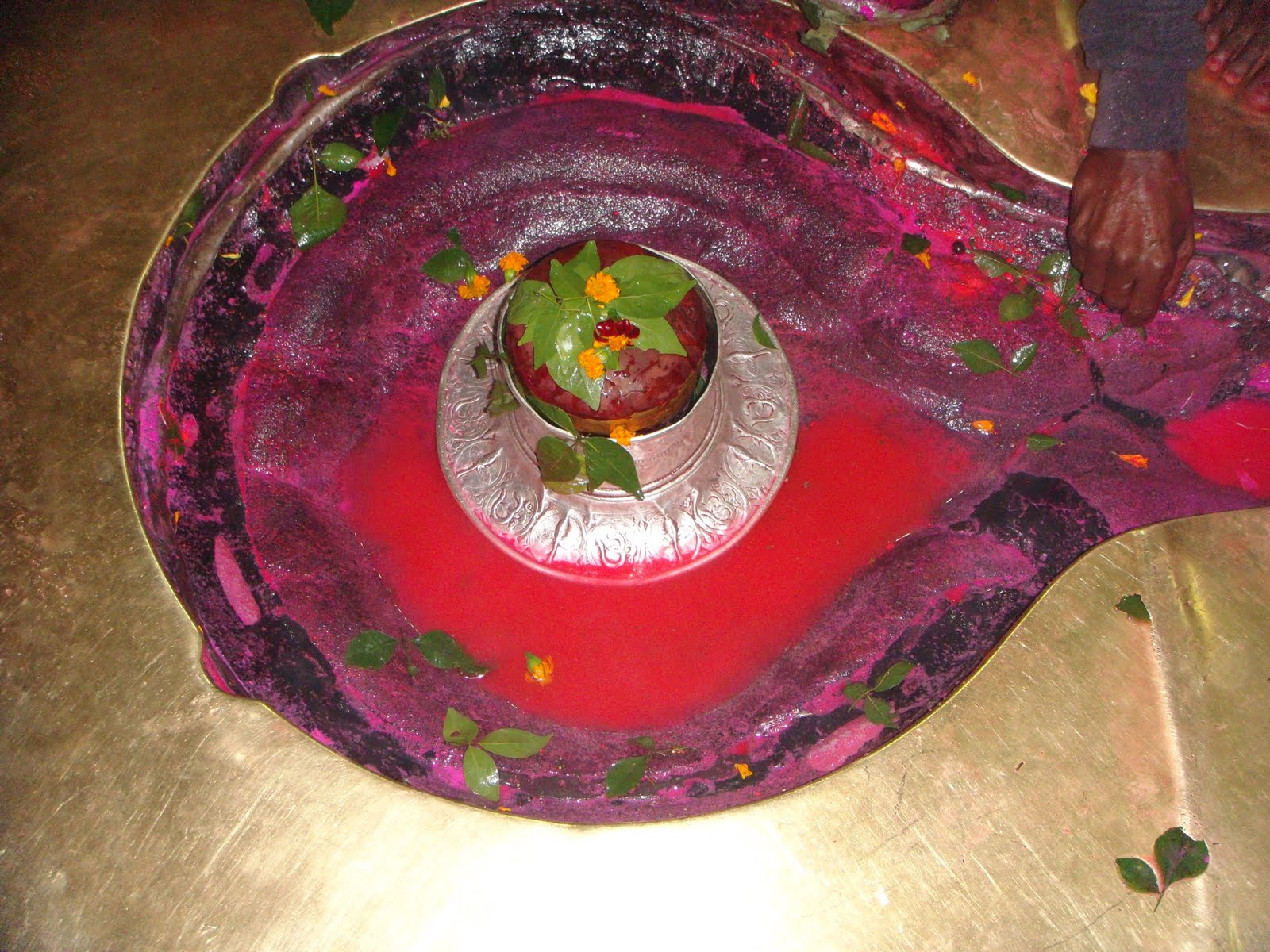 baba basukinath: JAI BABA BASUKINATH