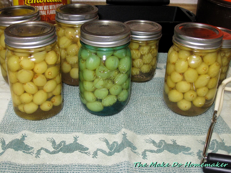 The "Make Do" Homemaker: When Life Gives You Lemons...: Canning Grapes