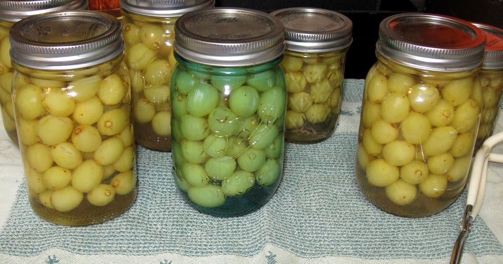 The "Make Do" Homemaker: When Life Gives You Lemons...: Canning Grapes